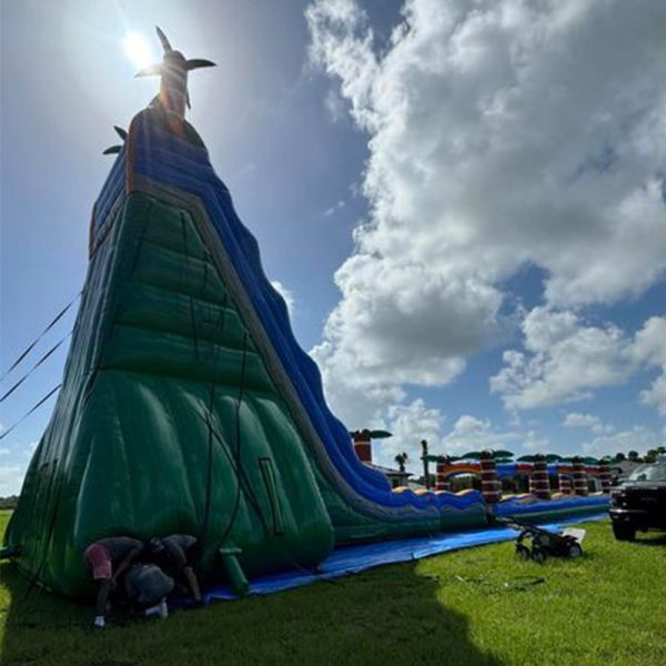 Quality Extra Long Palm Tree Inflatable Slide Combo with Pool Must-Experience at Aquatic for sale