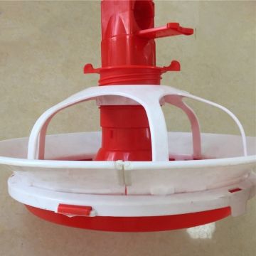 Quality Duck and goose feeding tray for sale