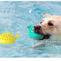 Quality Multifunctional Electric Dog Swimming Toy For Molar Teeth Cleaning for sale