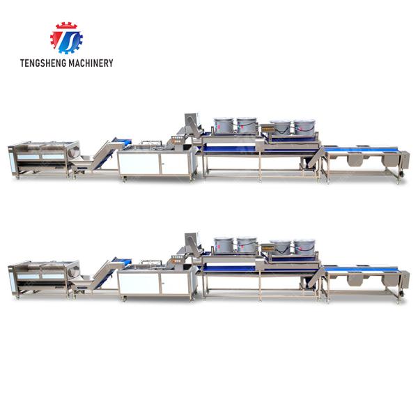 Quality Enhance Your Production with Our State-of-the-Art Fruit And Vegetable Processing for sale