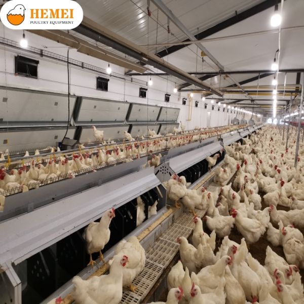 Quality Breeder equipment for sale