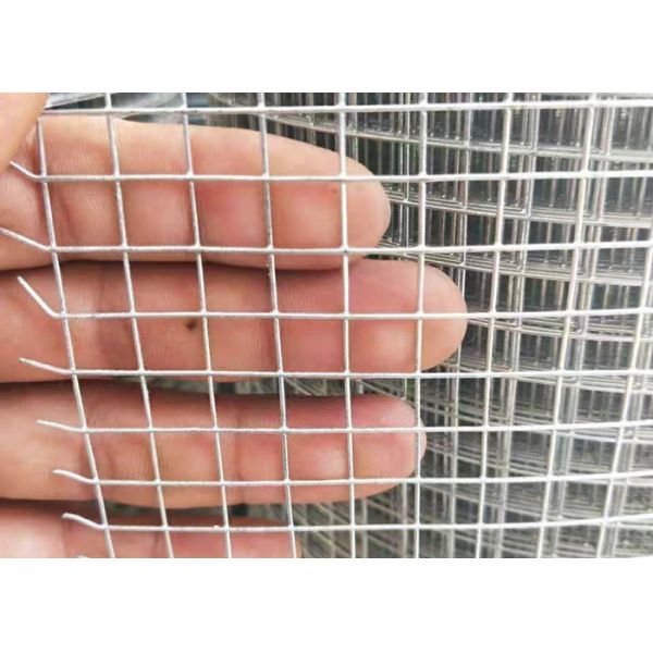 Quality Hot Dipped Galvanized Iron Wire Mesh 1/2 Inch Welded Wire Mesh Fence Roll for sale