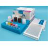 Quality 96 Test Aflatoxin M1 Mycotoxin ELISA Kit For Milk for sale