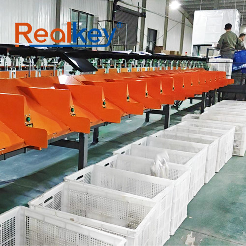 Quality Efficient Operation Tilt Tray Sortation Machine Suitable For Various Items Space Saving for sale