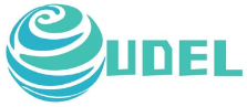 China UDEL Chips Tech Co., Ltd. logo