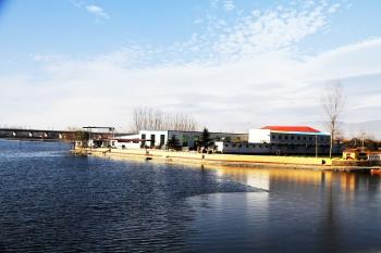 China Factory - Henan Multi-Sweet Beekeeping Technology Co., Ltd.