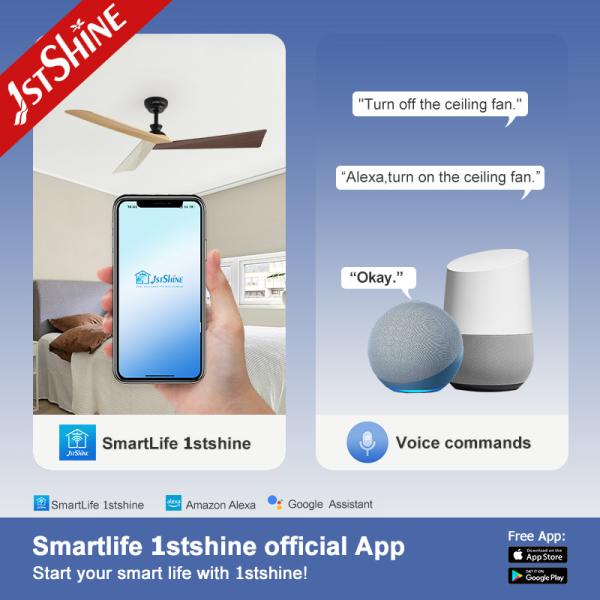 Quality 52 Inches Energy Saving ABS Blade Ceiling Fan with Smart APP Control and Remote for sale
