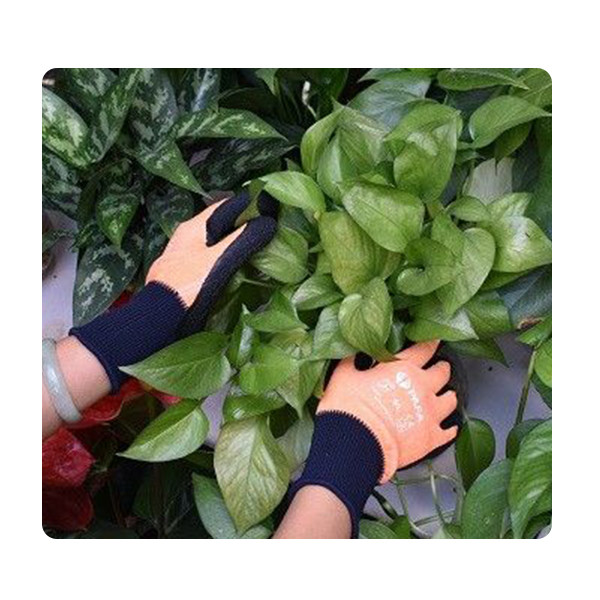 Quality Orange Polyester Seamless Liner Ultimate Dexterity Rubber Protective Gardening for sale