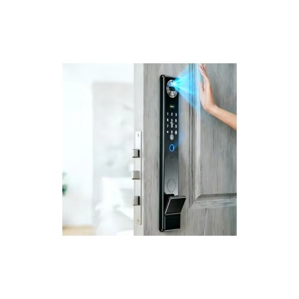 Quality Waterproof Smart Lock Real Time Video 3d Face Recognition Smart Fingerprint Lock for sale