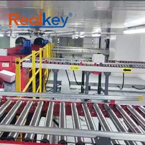 Quality Customized High Accuracy Warehouse Roller Conveyors Powered Roller Conveyor for sale