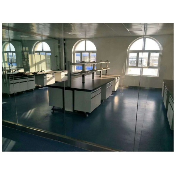 Quality Organized Workspace Laboratory Table Workbench for Chemical Reagent Storage for sale