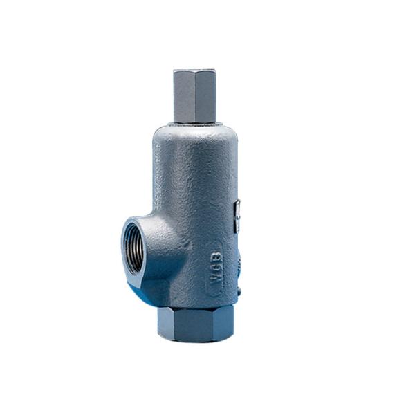 Quality Stainless Steel Springs Pressure Reducing Valve / Liquid Relief Valve 15 - 50 Mm for sale