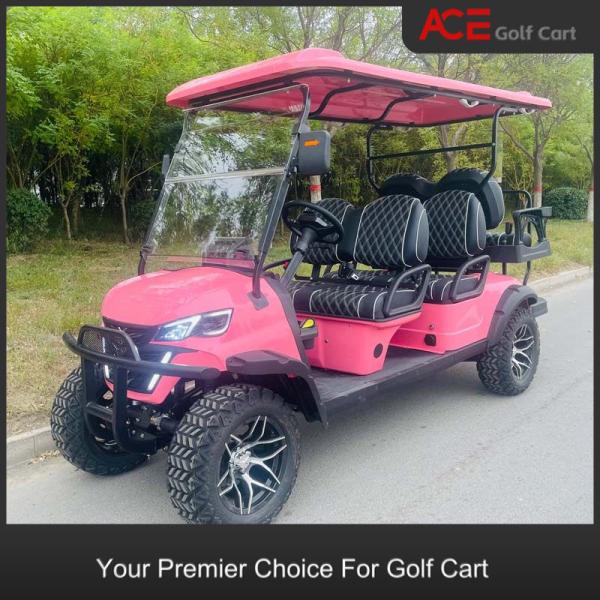 Quality 6 Seats Electric Golf Cart 48V150AH Battery For Hotels Gardens Clubs for sale