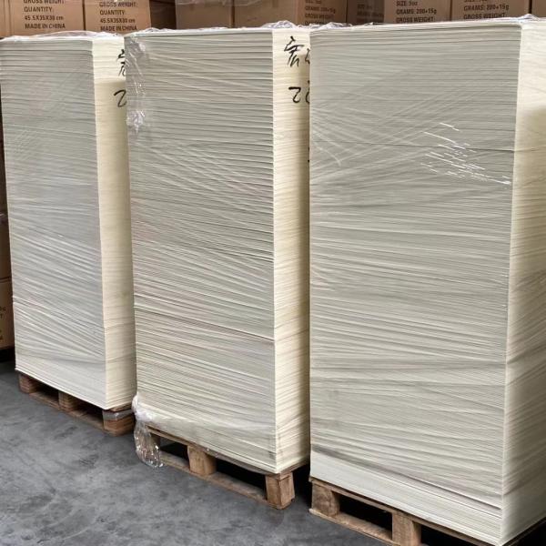 Quality Matt 220g PE Paper Cup Sheet 1600mm for sale
