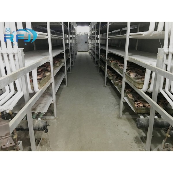 Quality Heat Insulation Industrial Cold Room -60~-0 Degree Temp For Meat / Fish Storage for sale