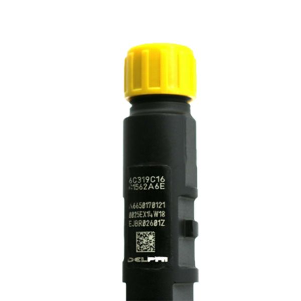 Quality Kyron 2.7L Xdi A6650170121 EJBR02601Z  Delphi Diesel Fuel Injectors for sale