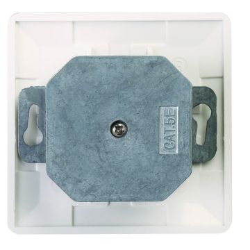 Quality Ftp Network Faceplate Socket White / Lvory Higher Efficiency For Telecommunicati for sale