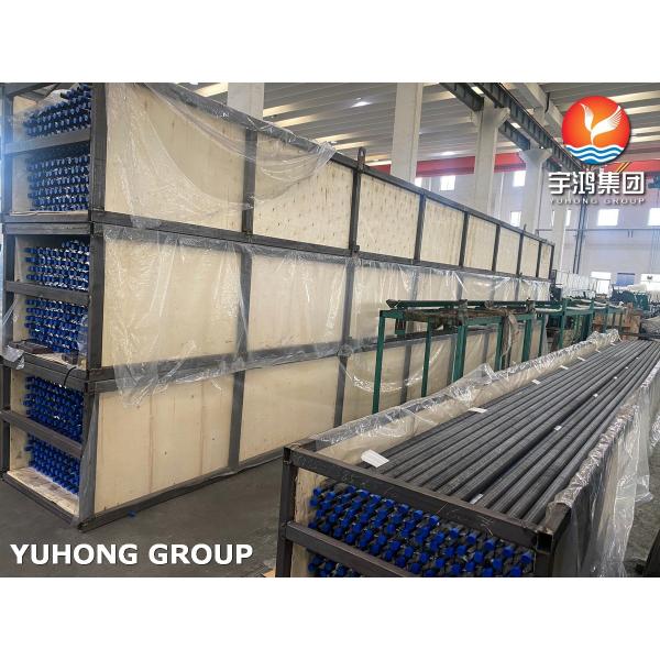 Quality Embedded G Fin Tube, Stainless Steel Seamless Tube ASTM A213 TP316L With Aluminum 1060, Oil Refinary Cooling for sale