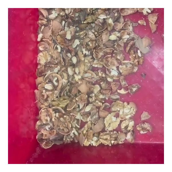 Quality Deep Learning Powered Multi-Grade Walnut Kernel Sorting Machine 750kgs / Hour for sale