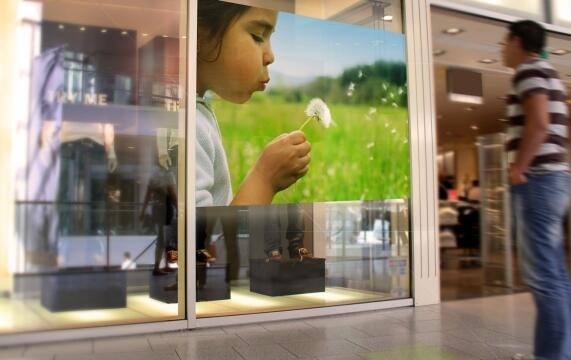 Quality Holographic Projection Foil Transparent Rear Projection Screen Film for sale
