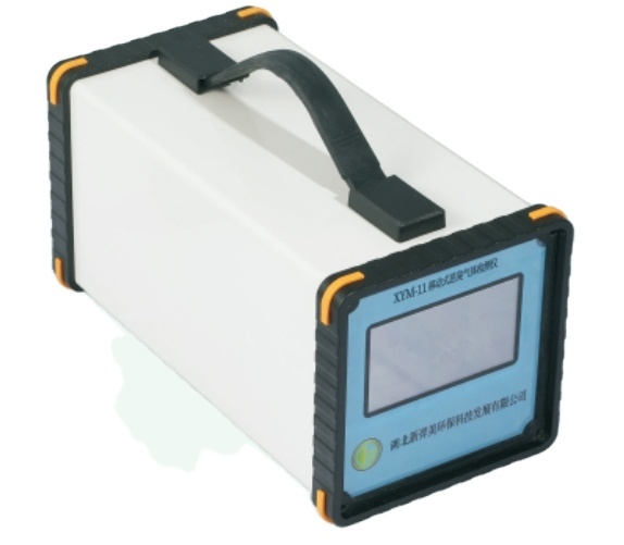 Quality High Precision Portable Odor Gas Detector Customized For Methyl Mercaptan for sale