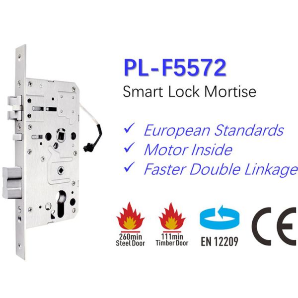 Quality European Latch Security Smart Door Lock in Stainless Steel 304 Customized by for sale