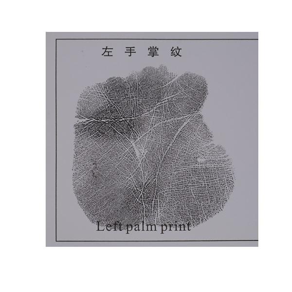 Quality E007 BTNY-III High polymer palm print pad for sale