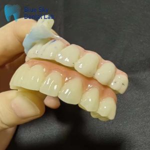 Quality Implantation Cases Artificial Implantation Cases for Seamless System Compatibili for sale