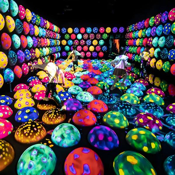 Quality Factory Direct Sale Indoor Cool Jump Space Bouncing Sphere Game for sale