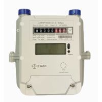 Quality STS AMR Prepaid LORAWAN Gas Meter for sale