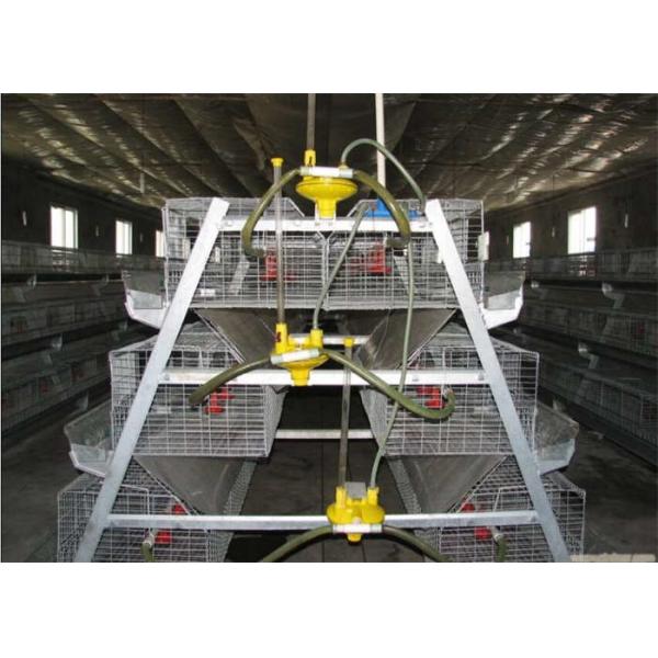 Quality Q235 Hot Dipped Galvanized H Type Layer Chicken Cage For Farm for sale