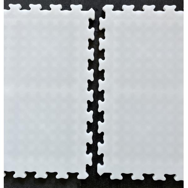 Quality Interlocking Hockey Skating Tiles Smooth Indoor Ice Skating Tiles for sale