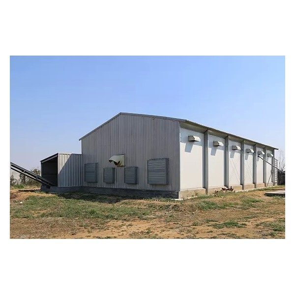 Quality Pre Engineered Steel Structure Poultry House Q355B Sqaure Tube And H Section for sale