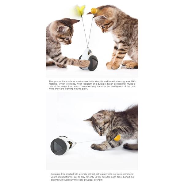 Quality Plastic Pet Training Products Interactive Puzzle Balanced Swing Car Toy for sale