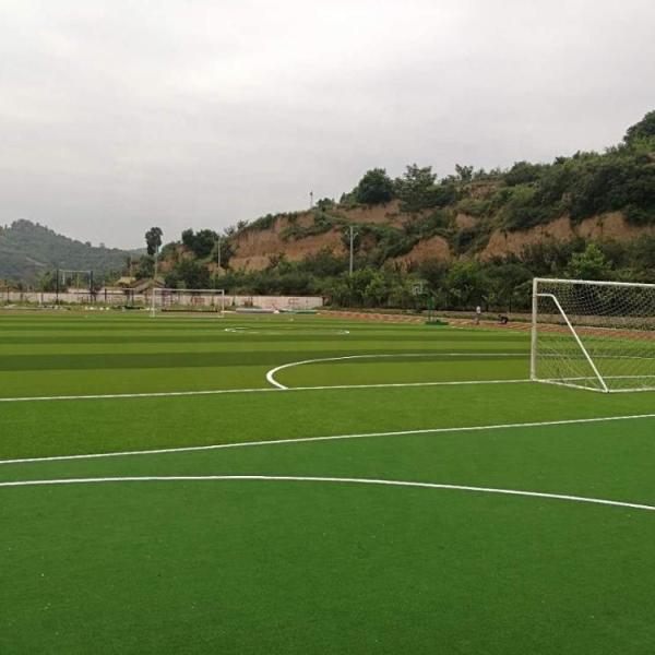 Quality 50mm Height Soccer Field Artificial Turf with SGS Certification Competitive for sale