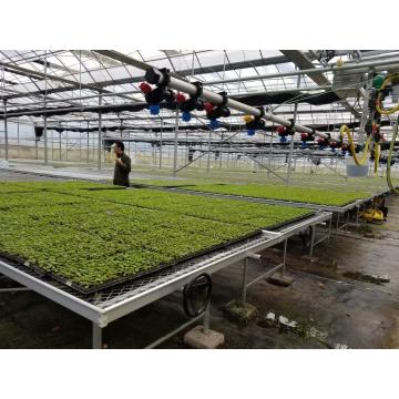 Quality Rolling Wire Greenhouse Growing Beds for sale