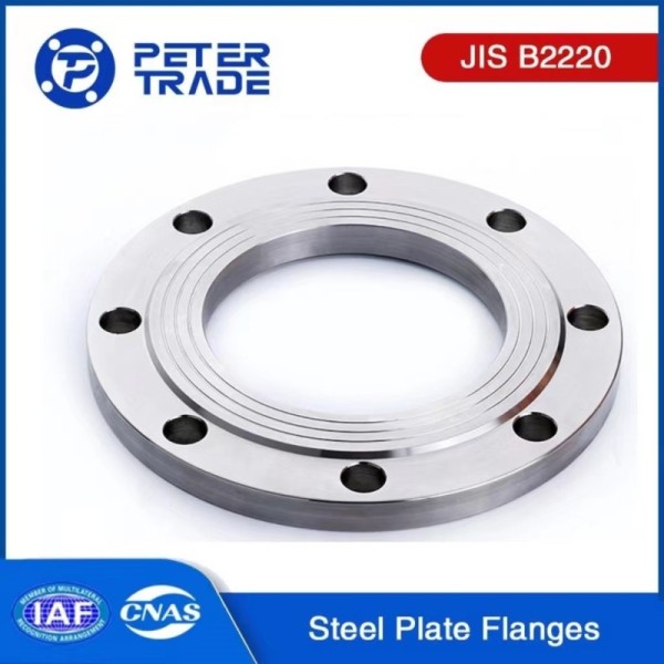 Quality 10A to 900A JIS B2220 Carbon Steel A105 and Stainless Steel 304 316 Plate Flanges PLFF PLRF 20K 20KG/CM2 for sale