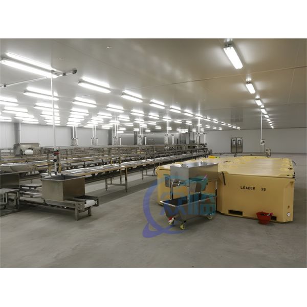 Quality 3KW Stable Shrimp Processing Machine 10000x1150x1550mm Practical for sale