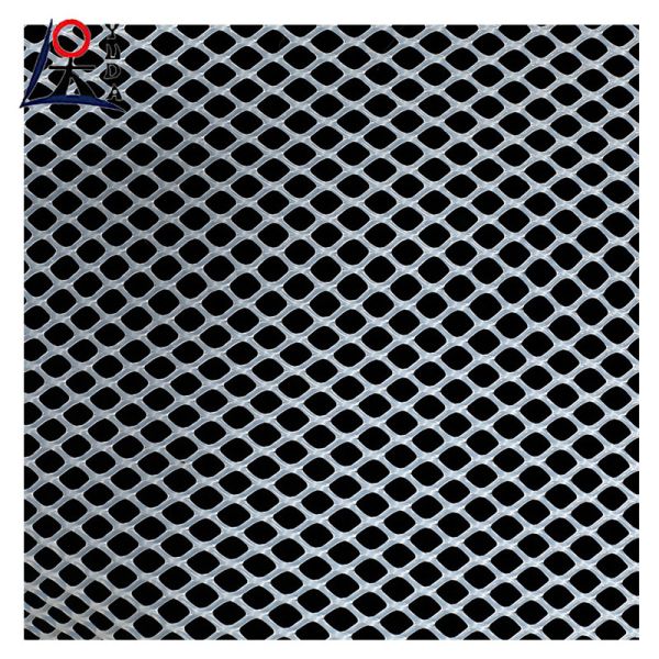 Quality 400g White Green Pe Plastic Net Chicken Garden Net Mesh for sale