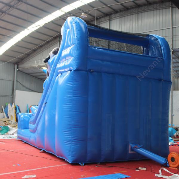 Quality Unisex Inflatable Dry Slide Customized Size Inflatable Castle Slides for Water for sale