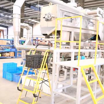 Quality CE Certified Dry Cracking Pecan Shelling Machine 100000 Nuts Capacity 220V for sale