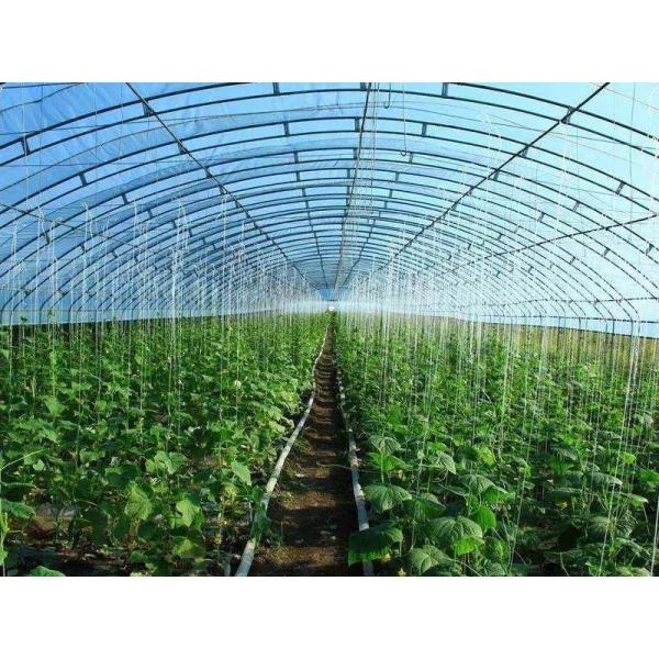 Quality Prefabricated Light Steel Structure Agricultural Vegetable Greenhouse Q235 for sale