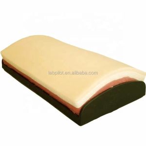 Quality Human Life Size Surgical Suture Practice Skin Simulation Incision Cutting for sale