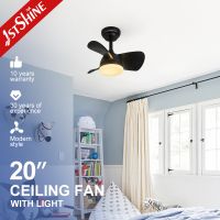 Quality Led Light Small Ceiling Fan Decorative Quiet DC Motor For Small Room for sale