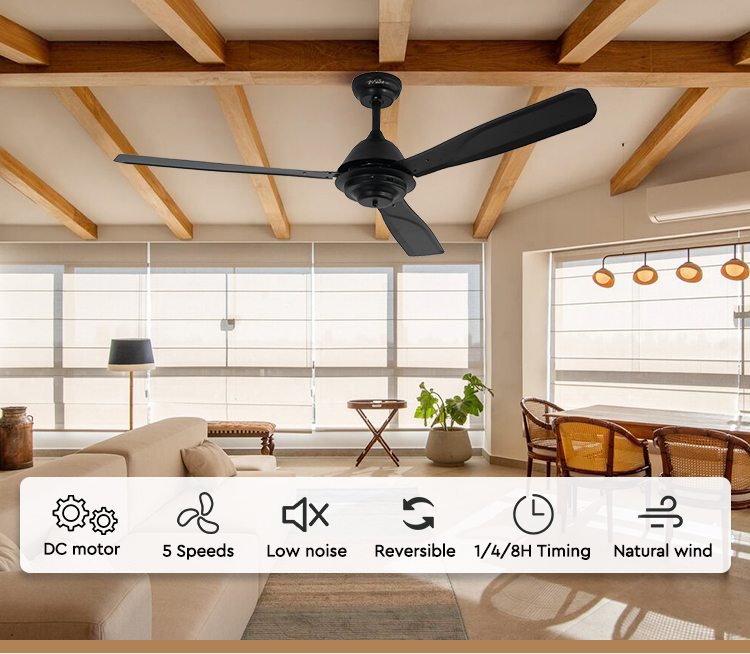 ceiling fan