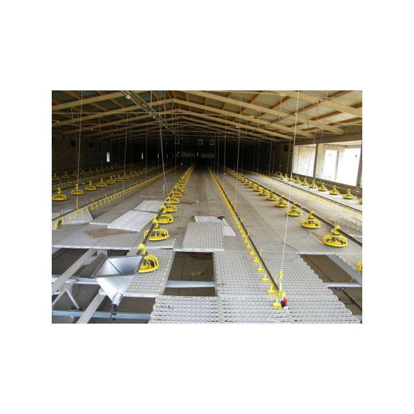 Quality Microencapsulation Technology Poultry Feed Acidifier For Better Gastrointestinal for sale