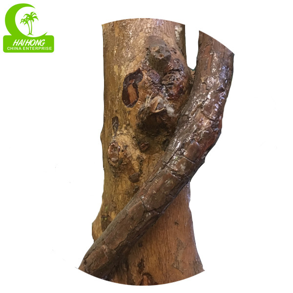 Quality Indoor Decoration 110cm Artificial Podocarpus Tree Customizable for sale