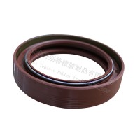 Quality 75x100x20mm FAST Gearox Oil Seal 2 Seal Lips Truck Oil Seal for sale