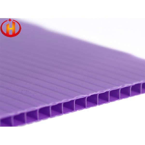 Quality Triangular Purple Corrugated Plastic Tree Guards 300 Gsm 600 Gsm for sale