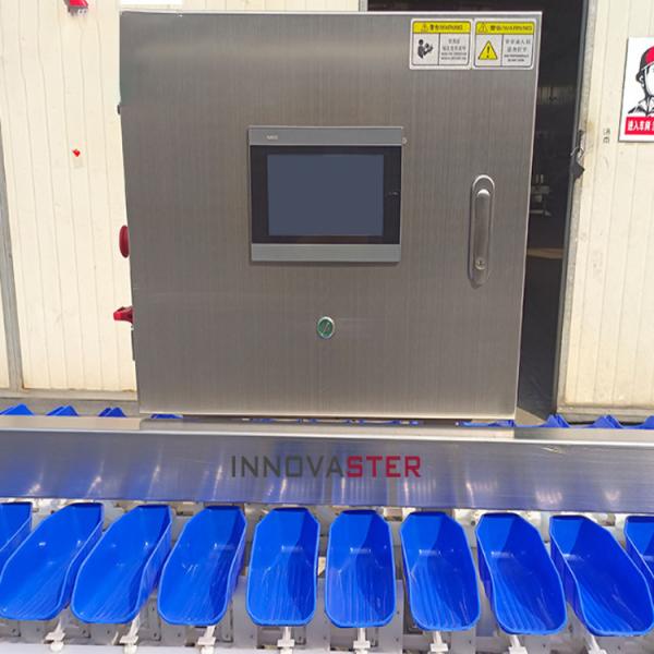 Quality Meat Processing Plants Belt Type Shrimp Grading Machine with User-Friendly for sale